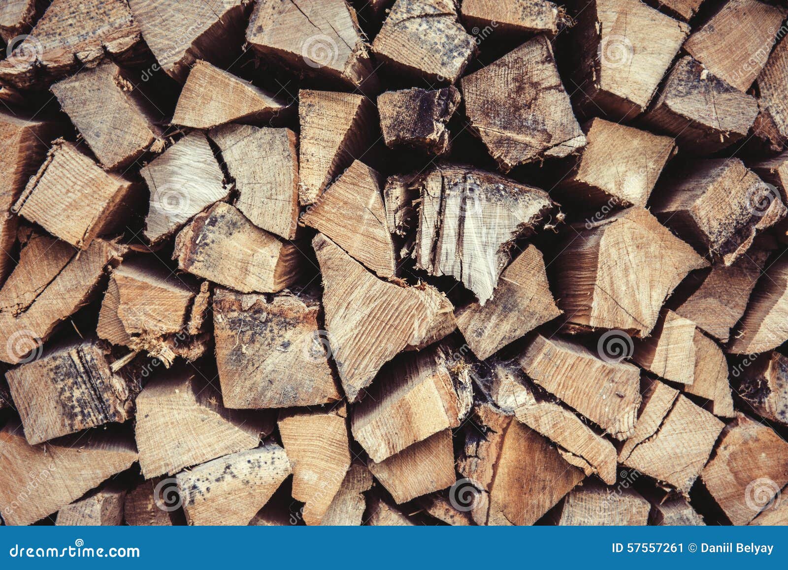 Firewood - Oak Tree and Ash Tree Stock Image - Image of background ...