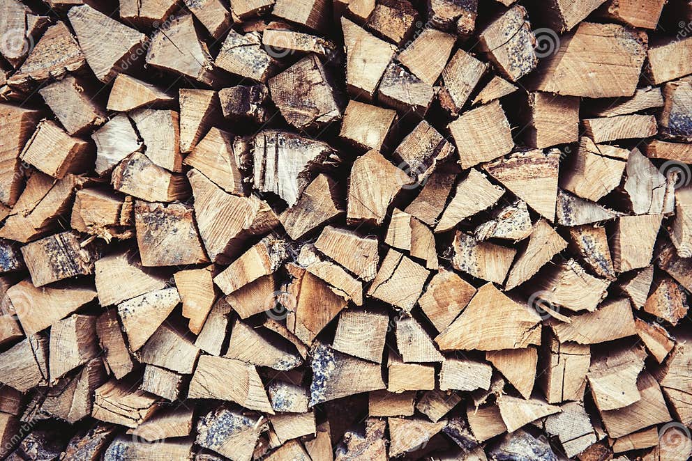 Firewood - Oak Tree and Ash Tree Stock Image - Image of rural, fuel ...