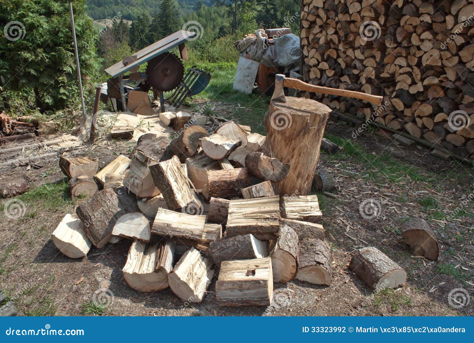 Firewood, Preparing for Winter Stock Photo - Image of pains, effort ...