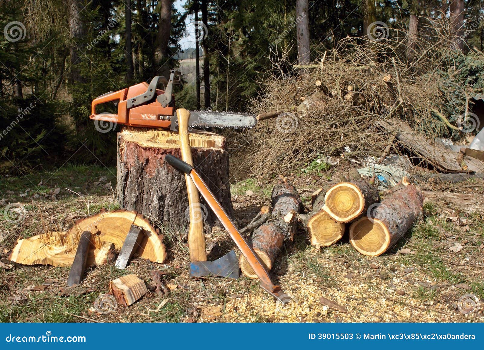 Firewood stock image. Image of cutting, metal, gardening - 39015503