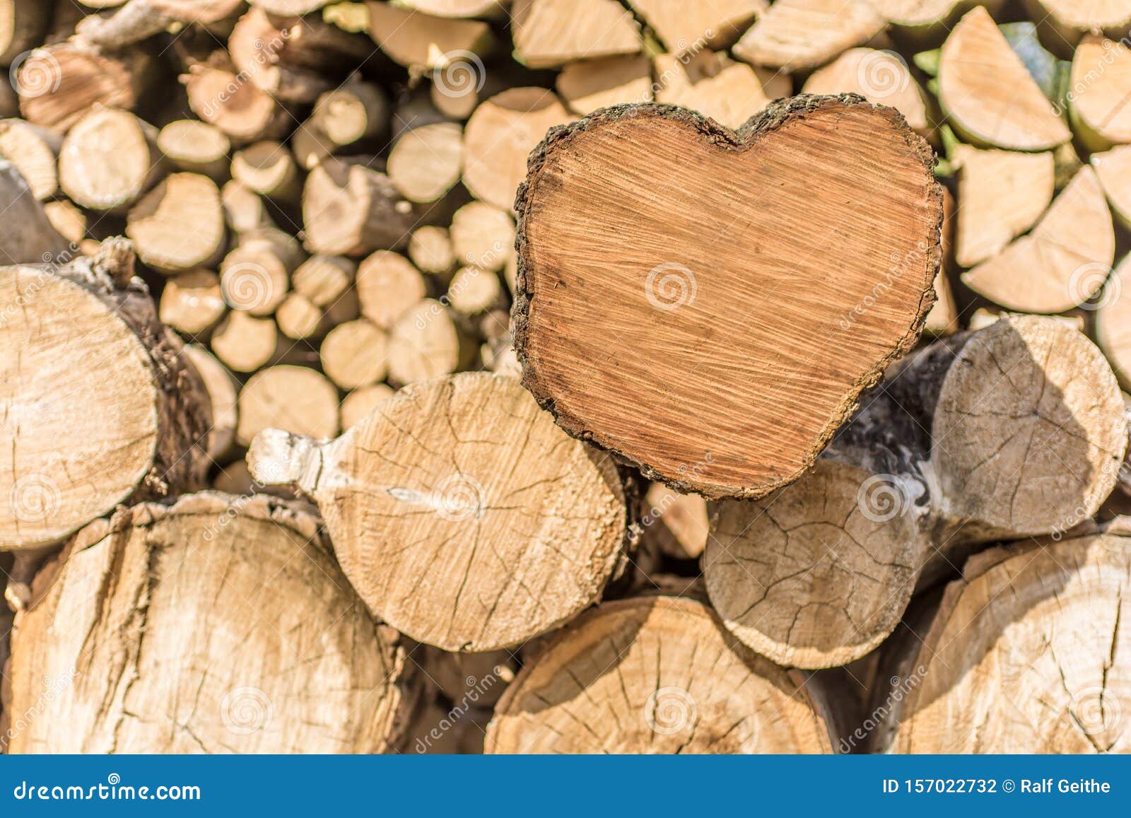 Firewood Processed Tree Trunk in Heart Shape Stock Photo - Image of ...