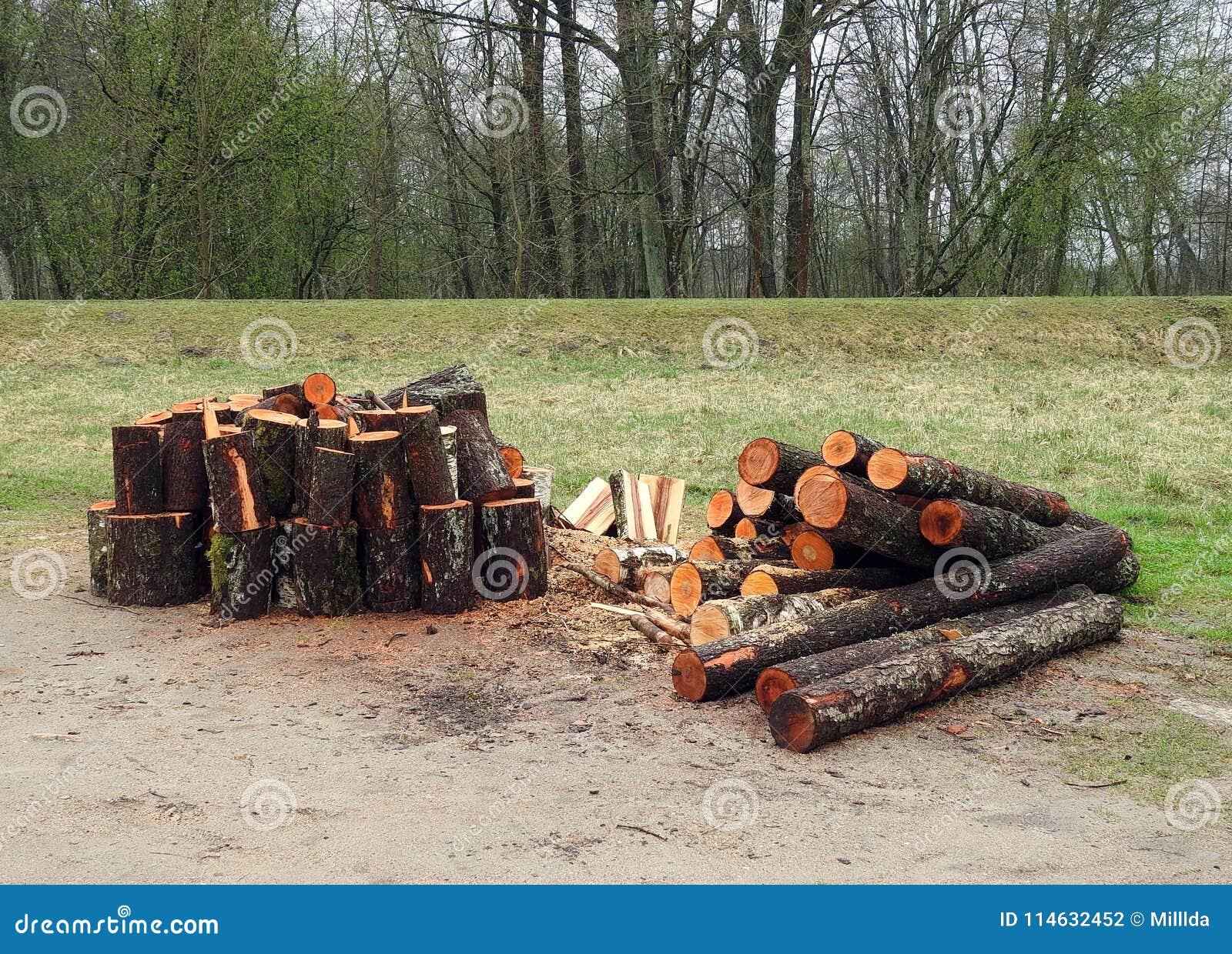 Firewood Rick for Winter, Lithuania Stock Photo - Image of stoke ...