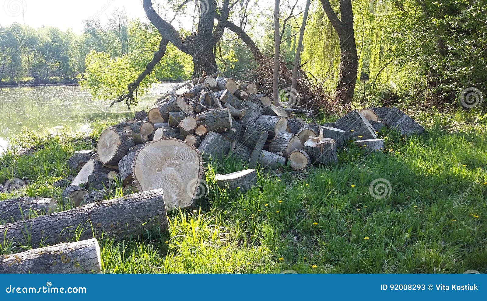 Firewood stock image. Image of demise, nirvana, burning - 92008293