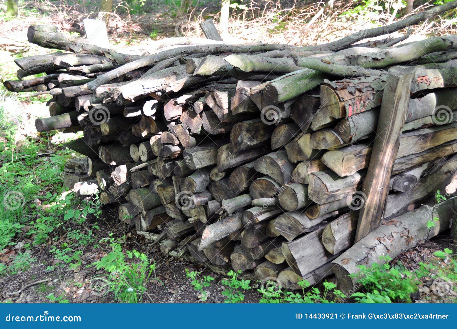 Firewood stack 1 stock image. Image of forest, lumber - 14433921