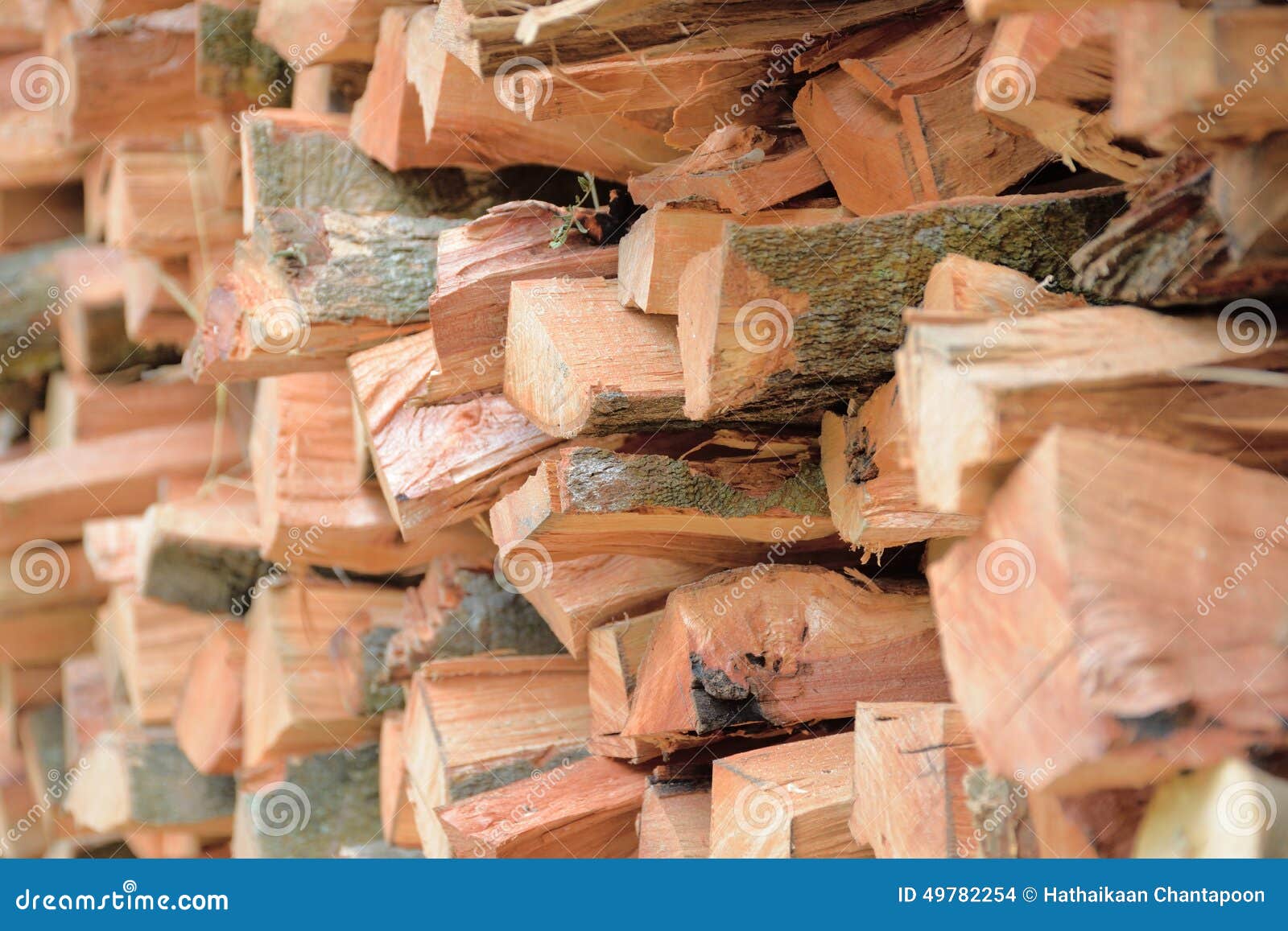 Firewood stack stock photo. Image of drying, stack, hardwood - 49782254