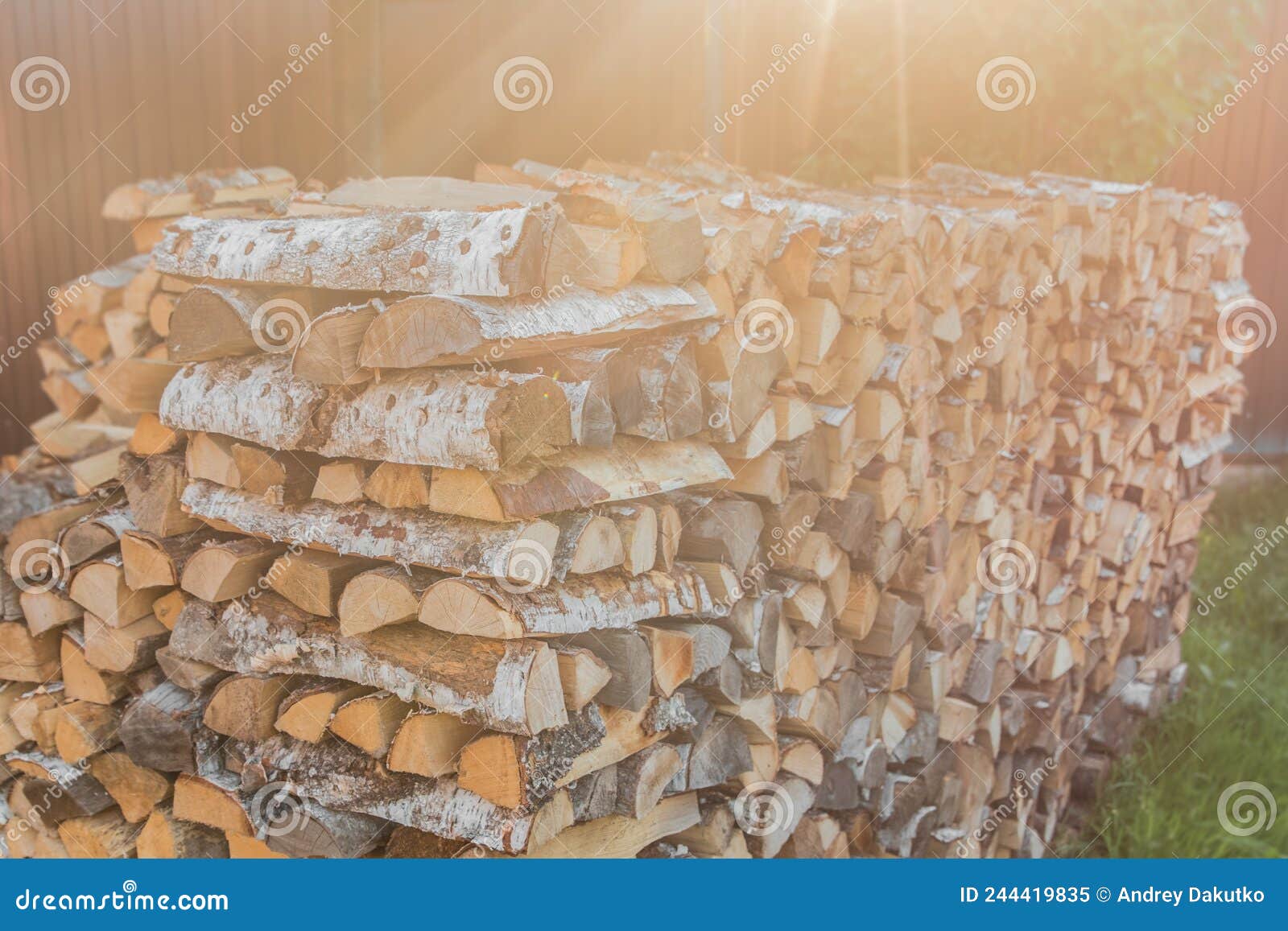 Firewood Stack Storage Wood Materials Chopped Tree Rural Pile Stock ...