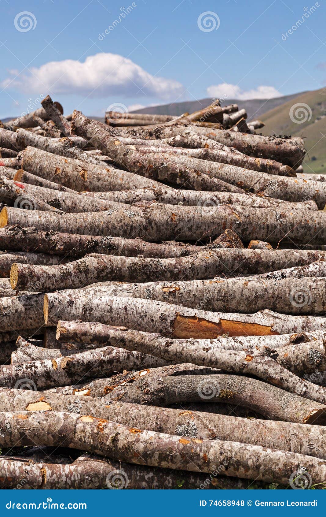 Firewood, stacked logs stock photo. Image of timber, fire - 74658948