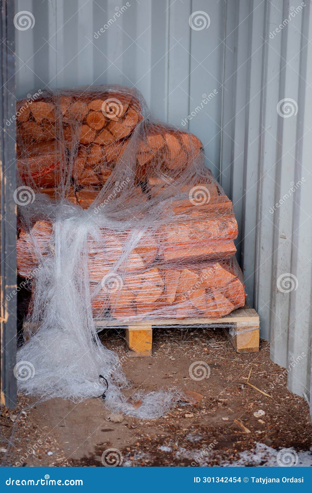 Firewood Stacked in a Woodshed. Stack of Birch Firewood Packed in a Net ...