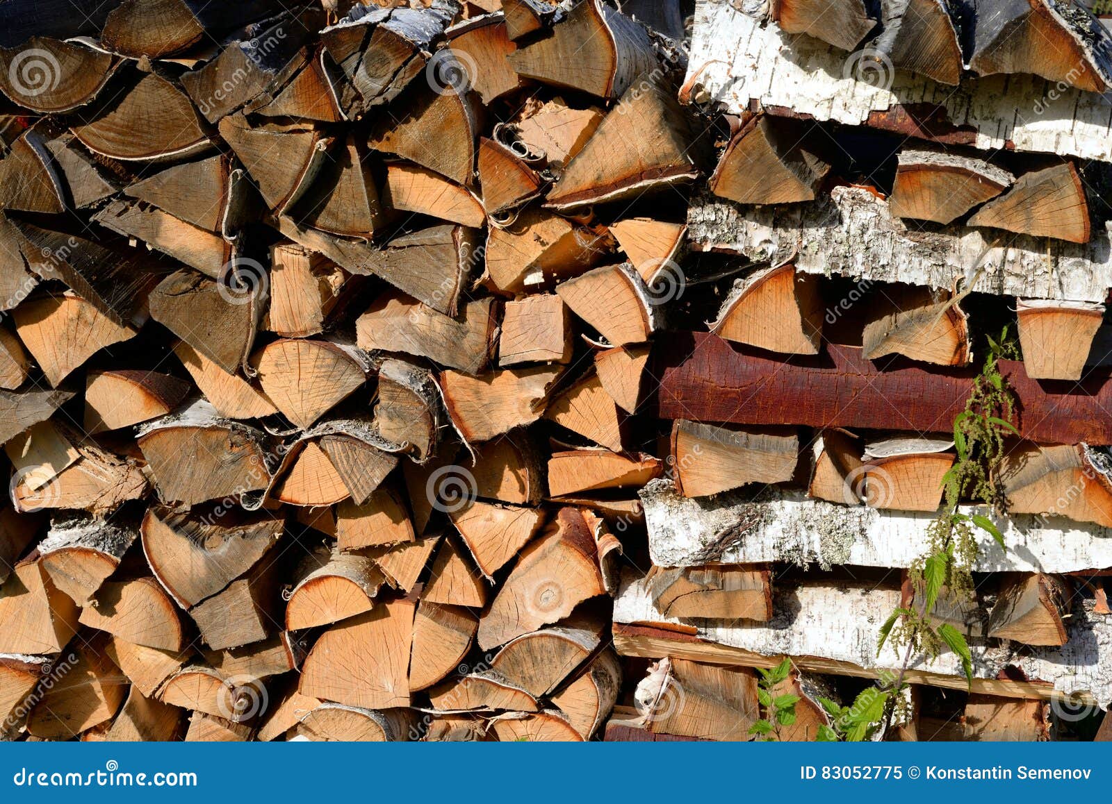 Firewood texture close up. stock image. Image of tree - 83052775