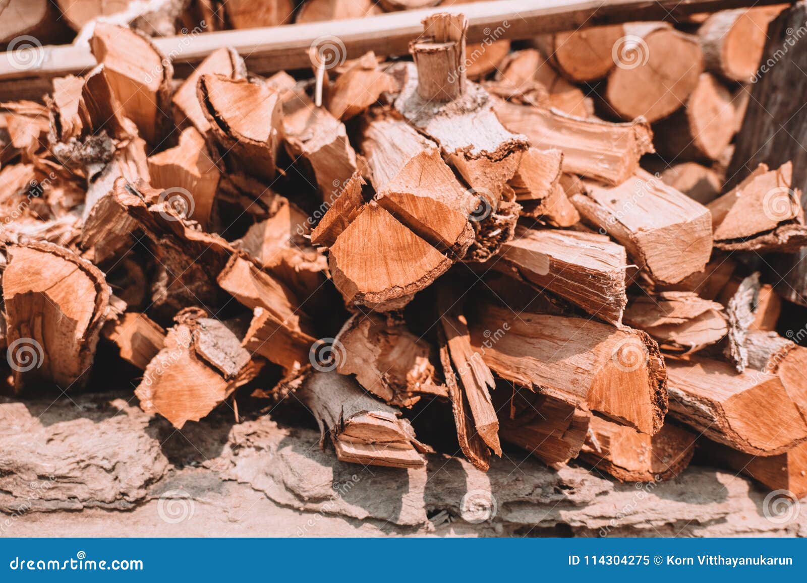 Firewood tree cut log stock image. Image of pattern - 114304275