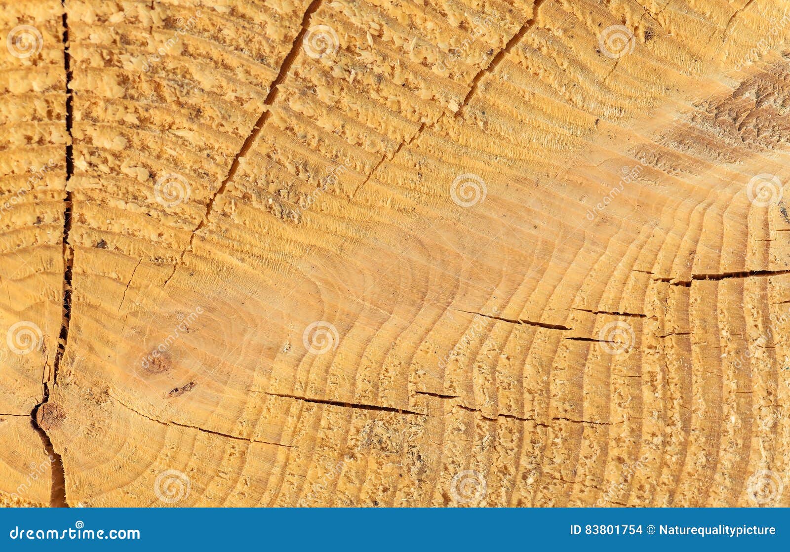 Firewood stock photo. Image of aging, macro, timber, background - 83801754