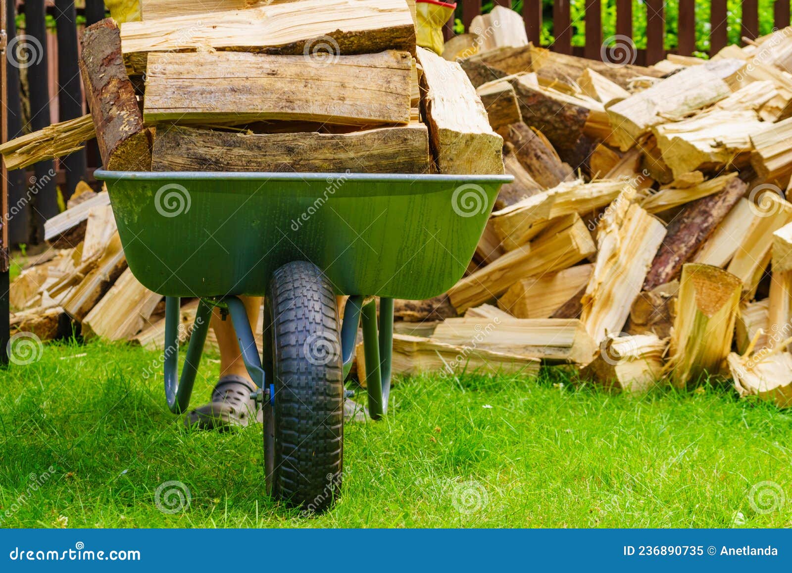 Firewood and wheelbarrow stock image. Image of firewood - 236890735