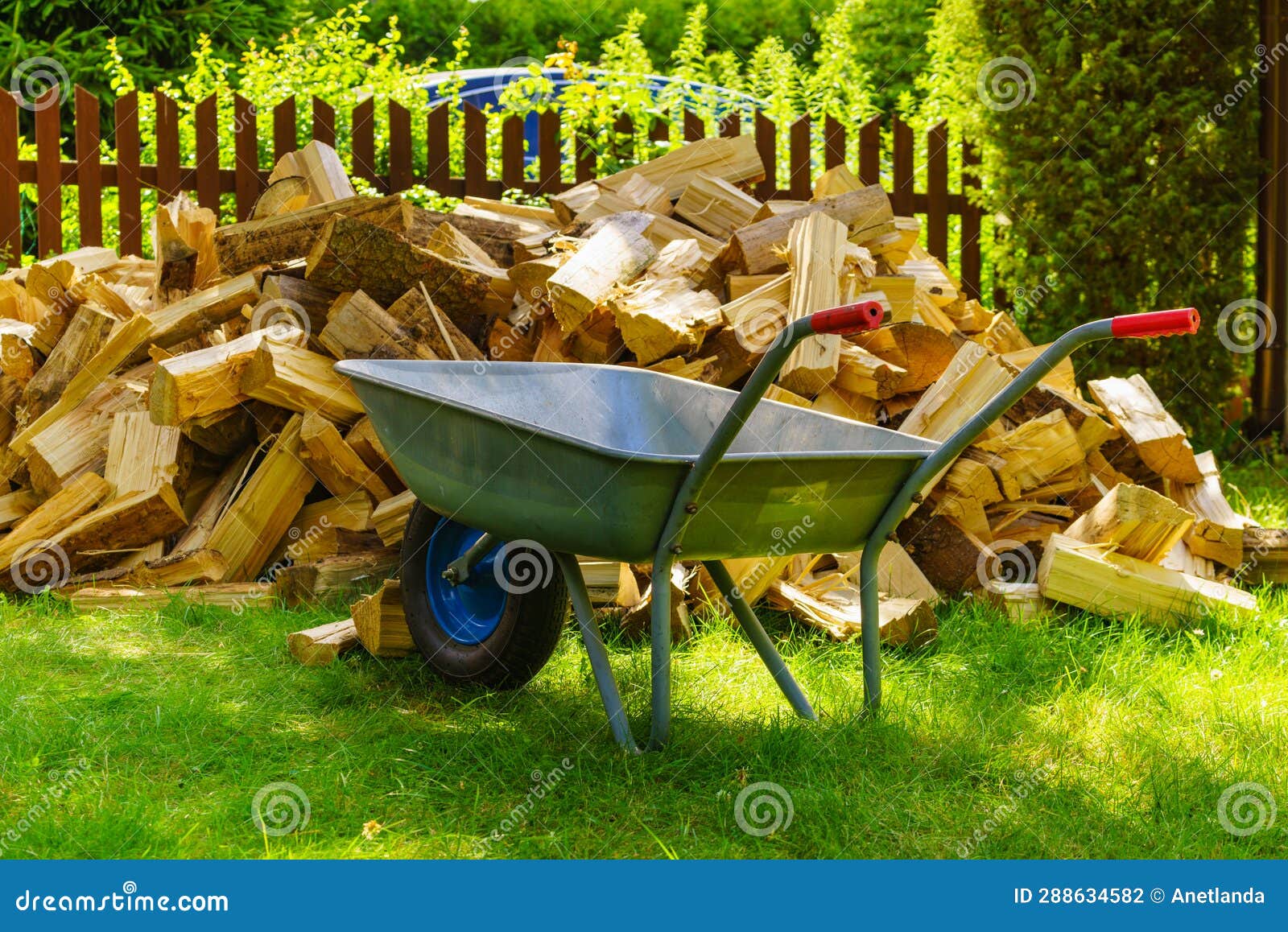 Firewood and wheelbarrow stock photo. Image of fuel - 288634582