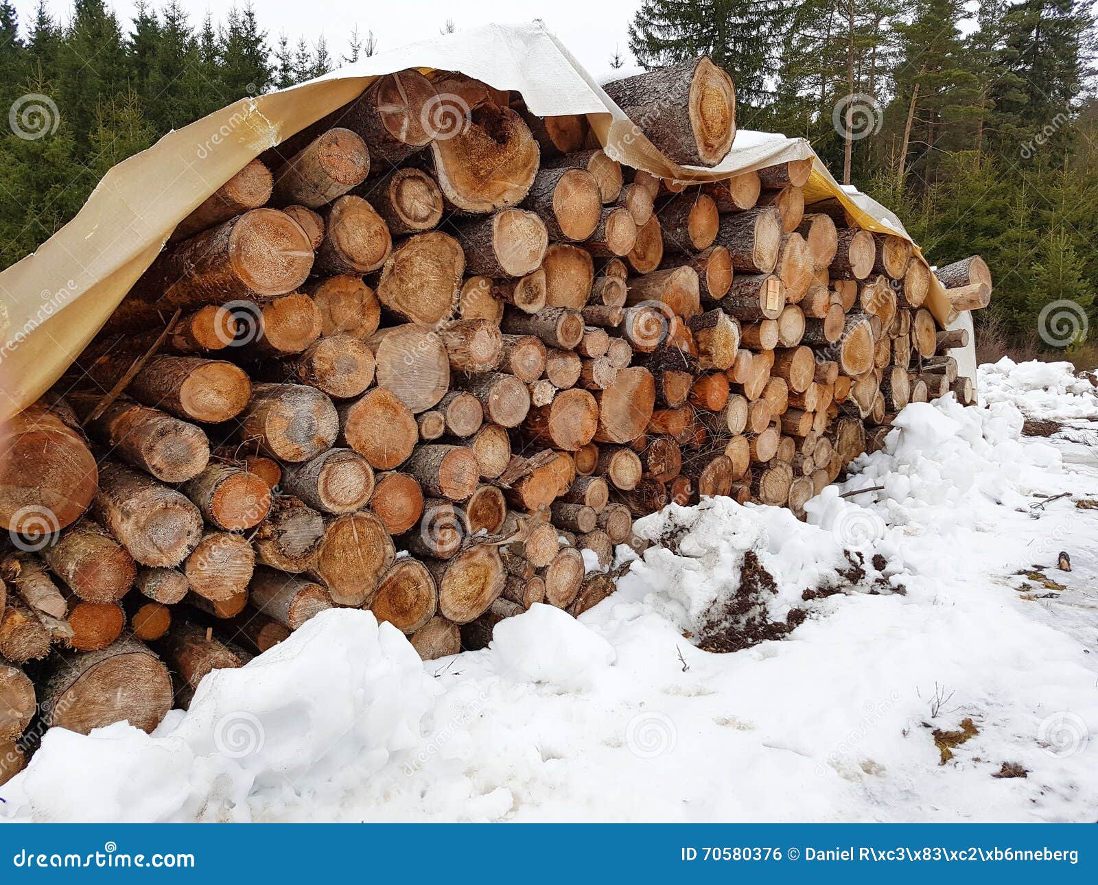 Firewood winter stock photo. Image of white, timber, woodpile - 70580376
