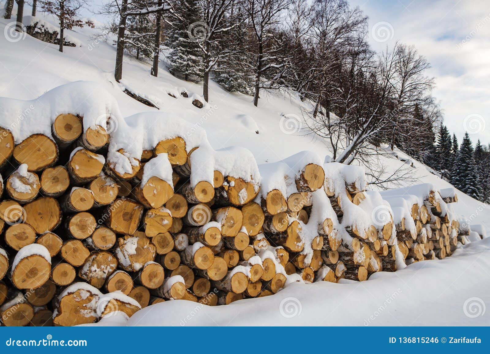 Firewood for the Winter Under the Snow Stock Photo - Image of nature ...