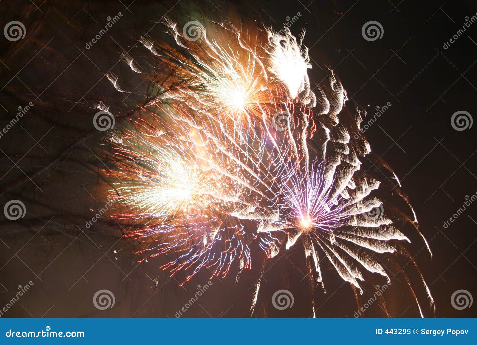 Firework Picture. Image: 443295