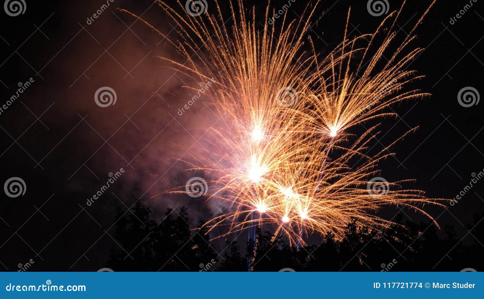 Firework Behind Trees Silhouette Stock Photo - Image of lunar, design ...