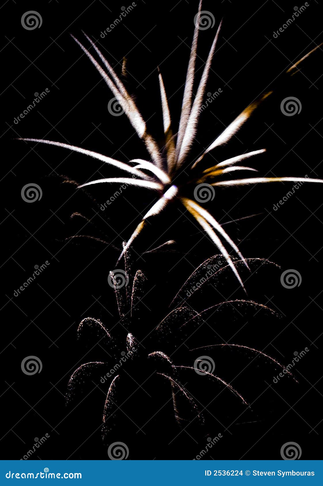 Firework burst stock photo. Image of night, explode, burst - 2536224