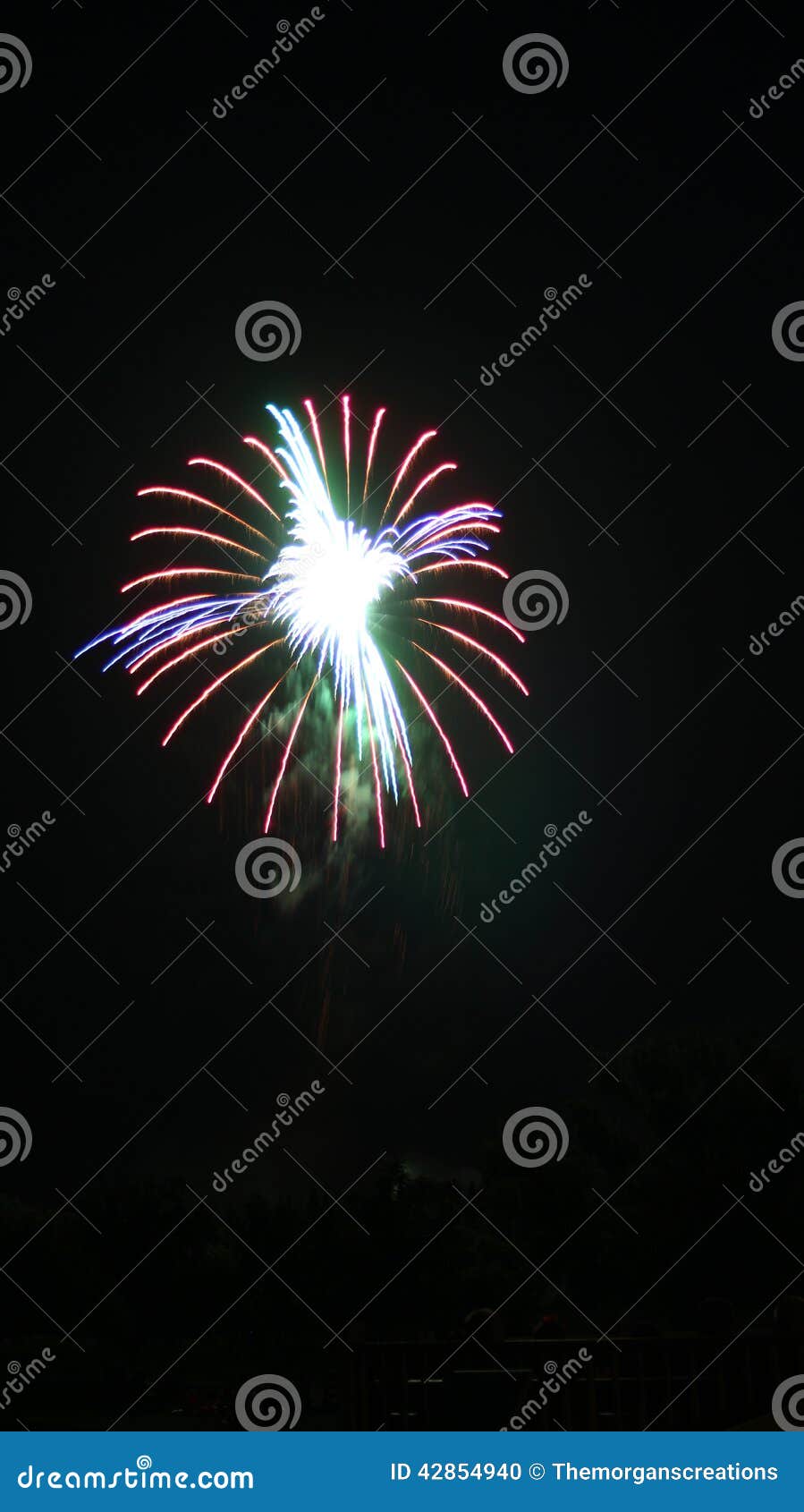 Firework Burst stock photo. Image of double, display - 42854940