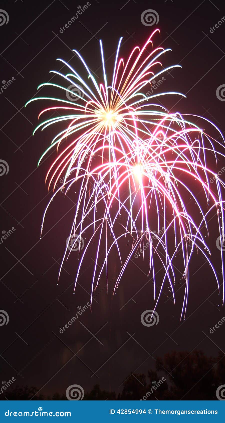Firework Burst stock photo. Image of independence, fireworks - 42854994