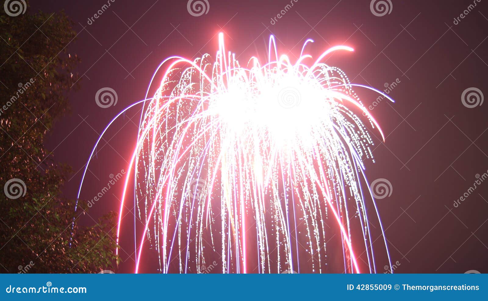 Firework Burst stock image. Image of white, burst, holiday - 42855009