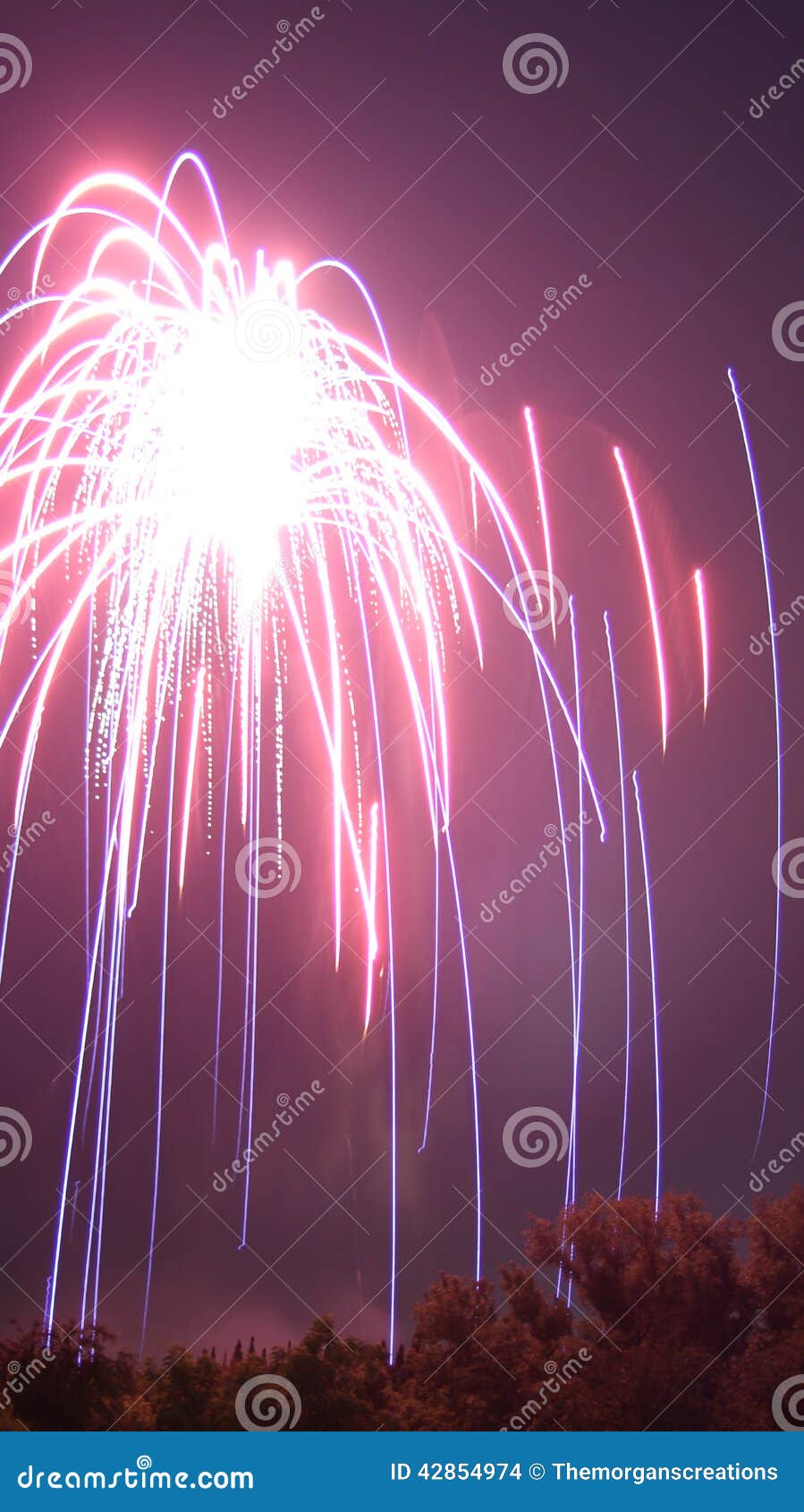 Firework Burst stock photo. Image of glow, burst, holiday - 42854974