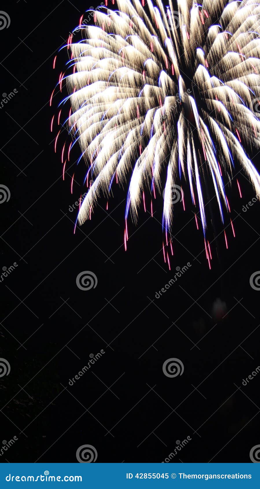 Firework Burst stock image. Image of single, firework - 42855045