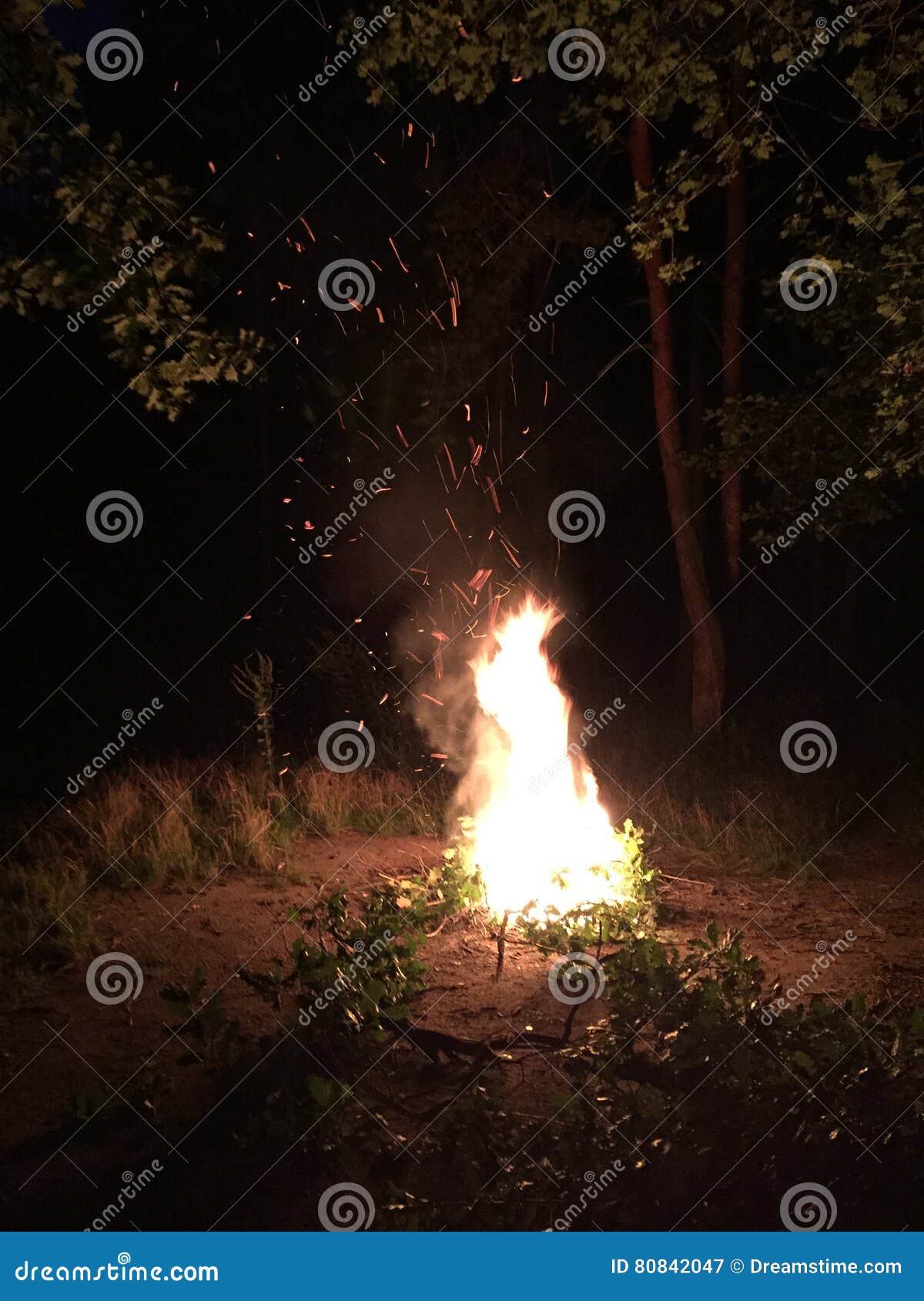 Firework Explodes in Fire in Forest Stock Image - Image of blast ...