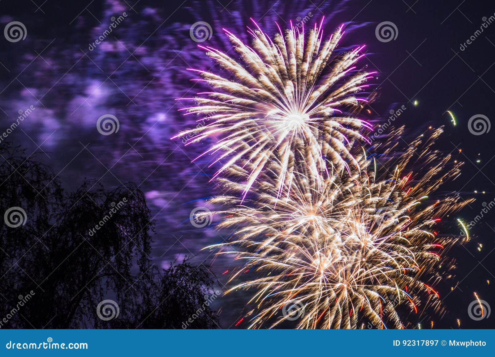 Firework Fireworks Celebration Gold Red Purple Blasts Tree Stock Image ...