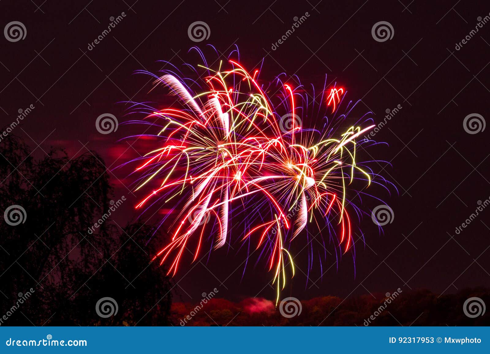 Firework Fireworks Celebration Red Purple Orange Blasts Stock Image ...
