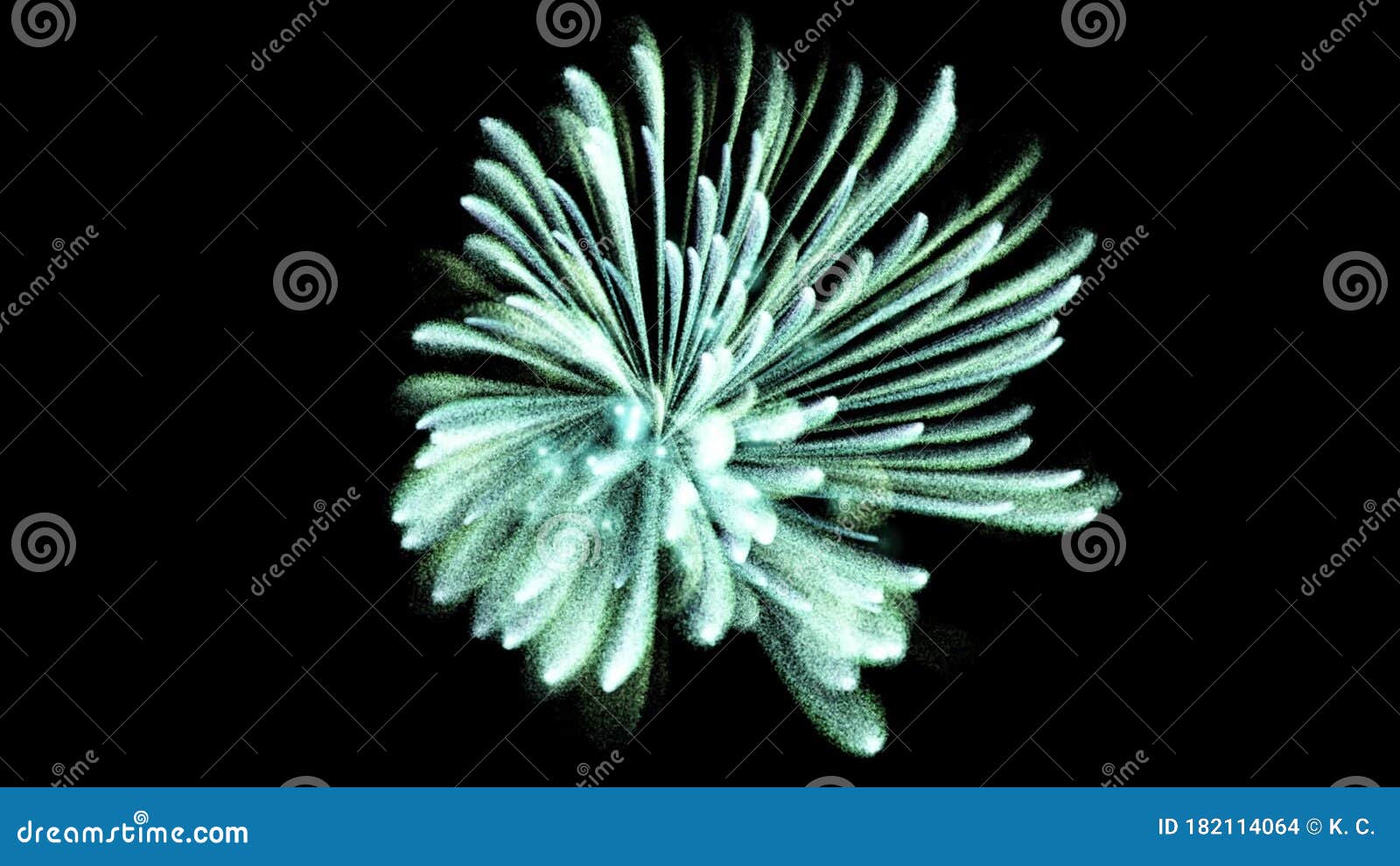 Firework flower animation stock footage. Video of effect - 182114064