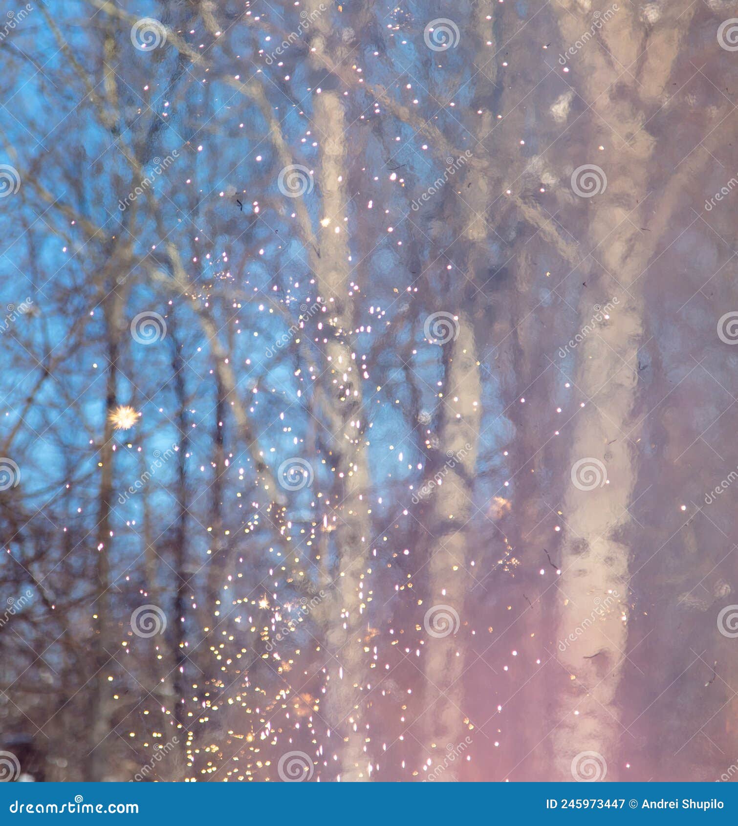 Firework Sparks in Nature during the Day. Stock Image - Image of smoke ...