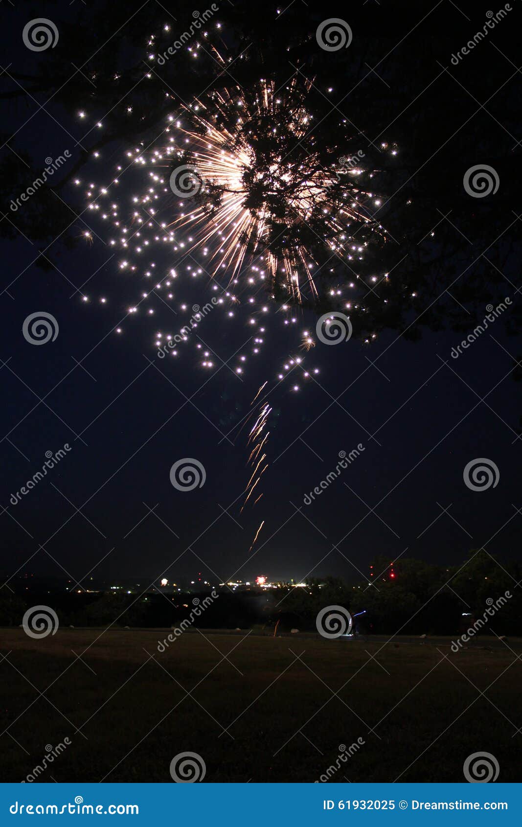 Firework Tree Silhouette Foreground Stock Photos - Free & Royalty-Free ...