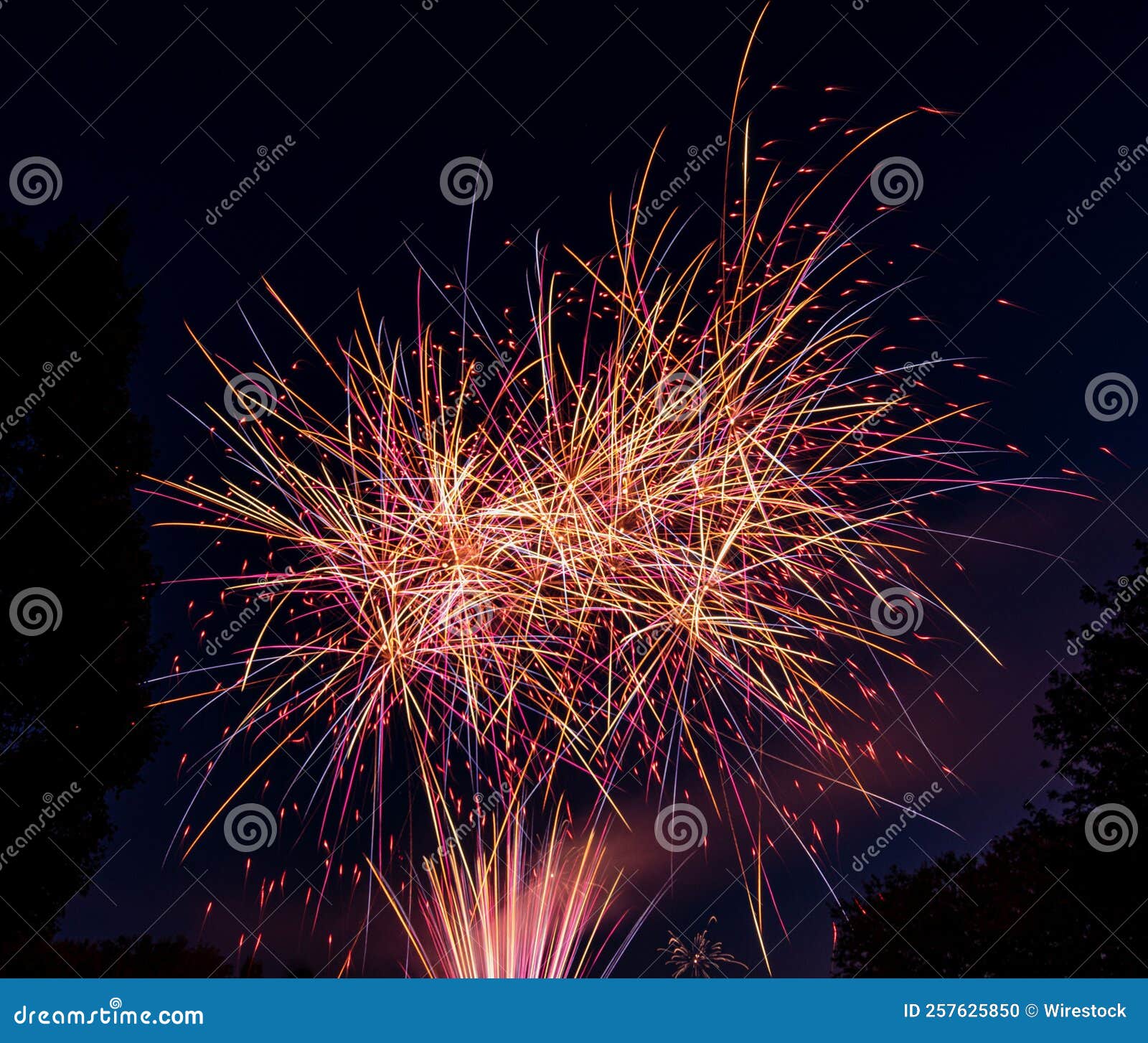 Firework Undershot Bursting Sparks in the Night Sky Stock Photo - Image ...