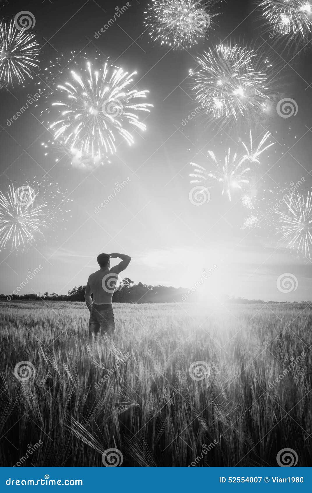 Firework in a Wheat Field. Black and White Stock Image - Image of ...