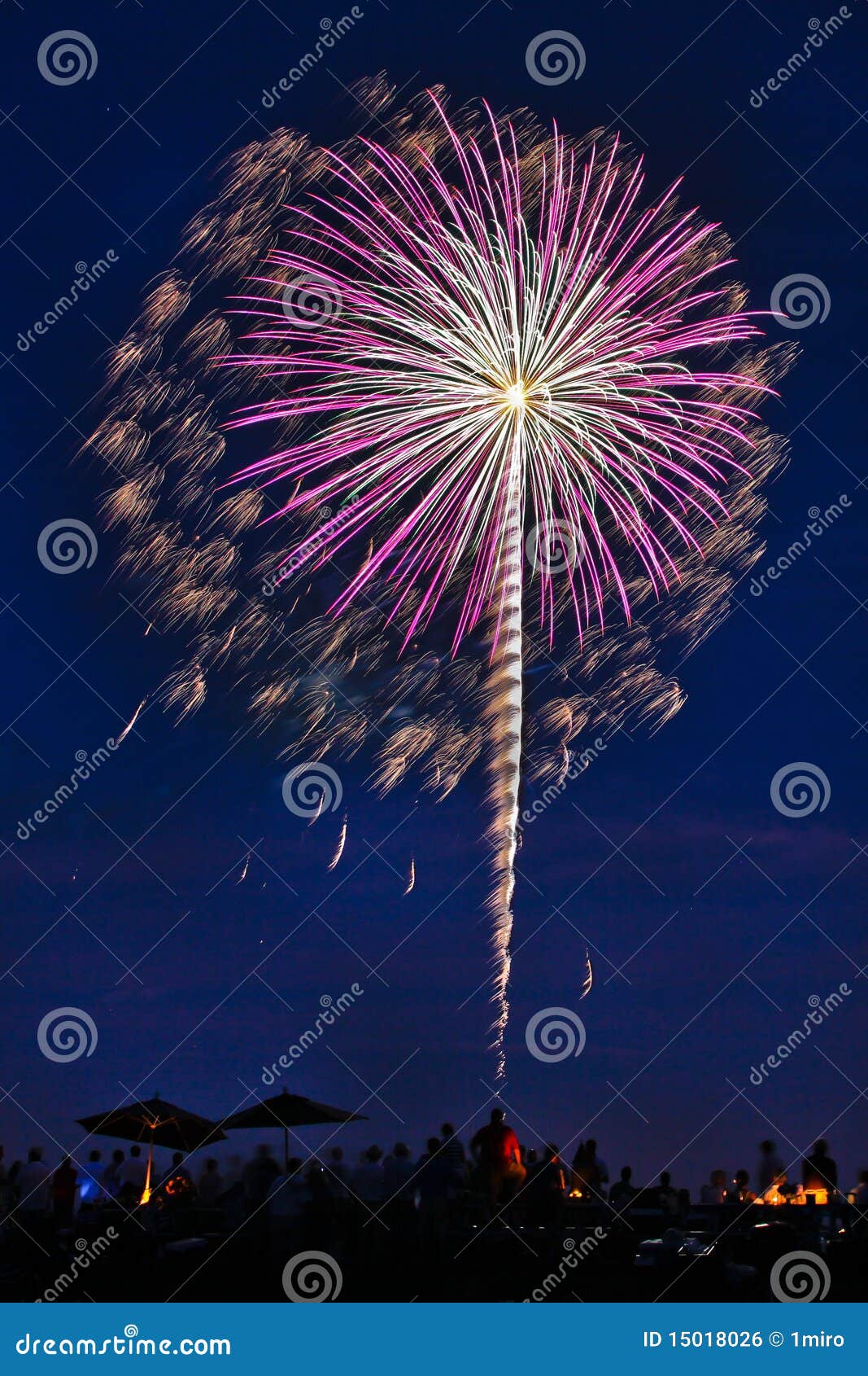 Fireworks stock photo. Image of celebrate, summer, fireworks - 15018026