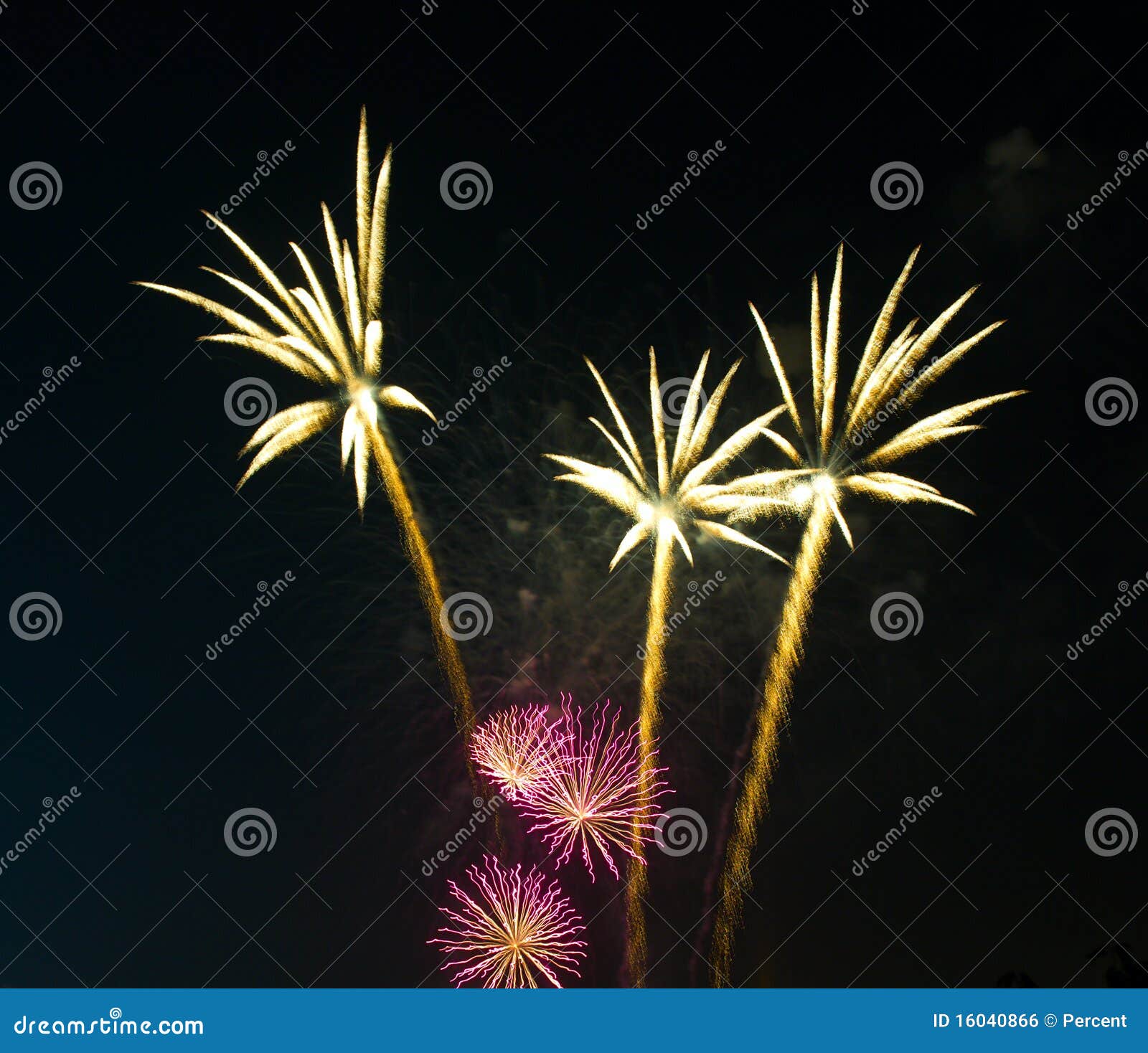 Fireworks as palm at night stock photo. Image of fireworks - 16040866