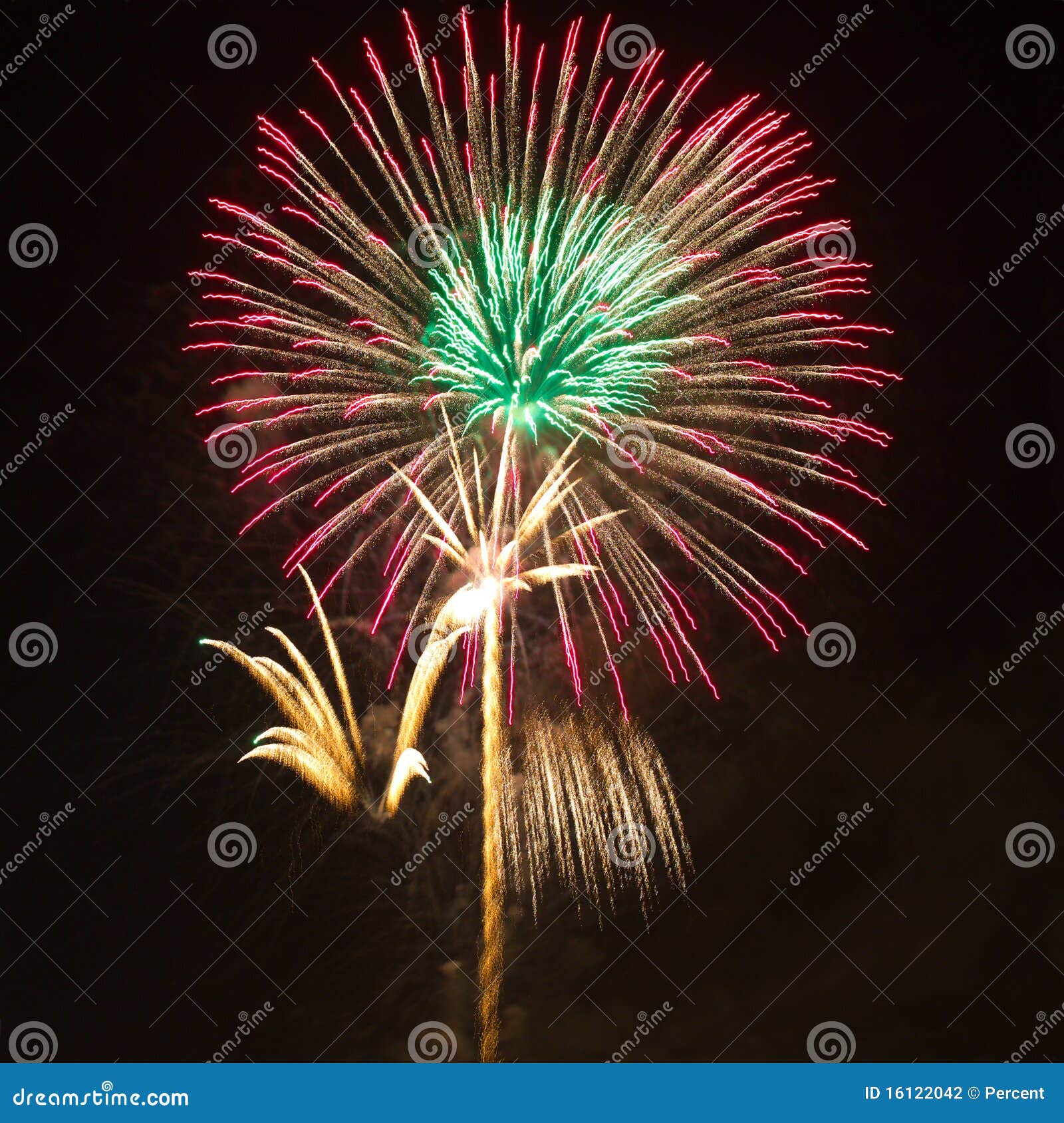 Fireworks as palm at night stock photo. Image of celebrate - 16122042