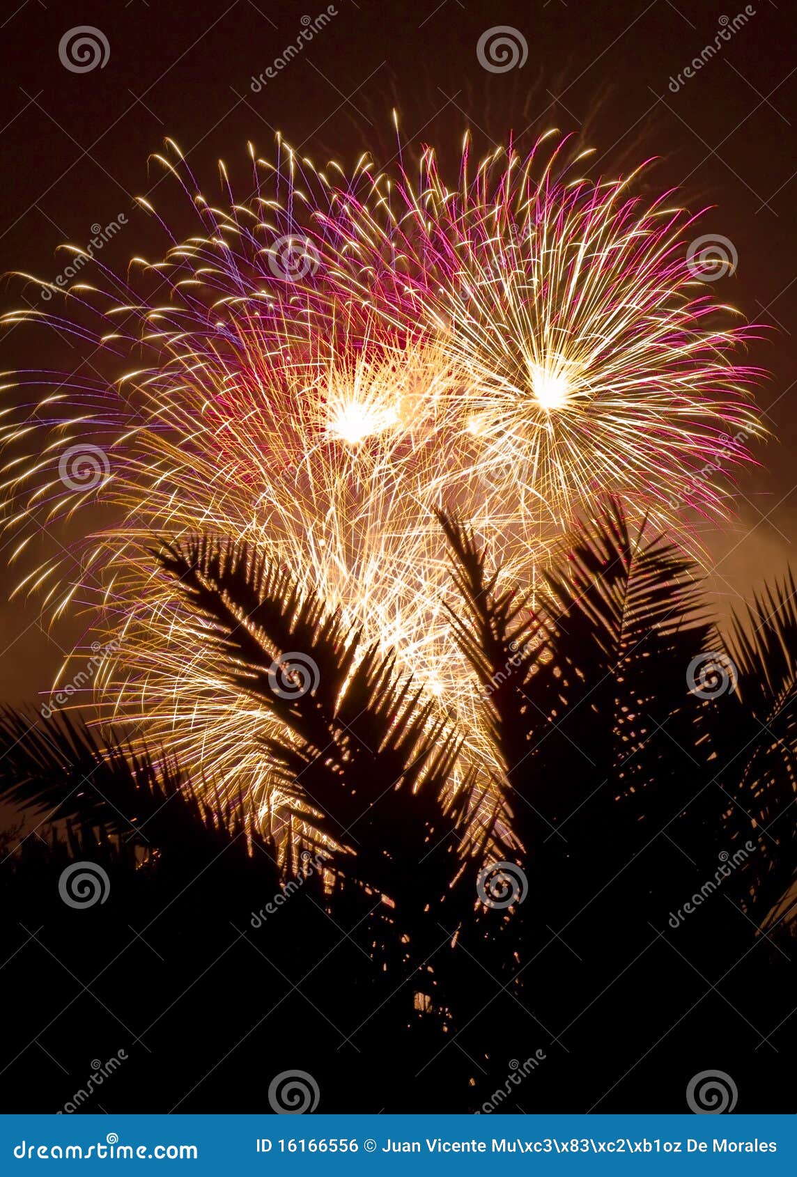 Fireworks Behind a Palm Tree Stock Photo - Image of holiday, silhouette ...
