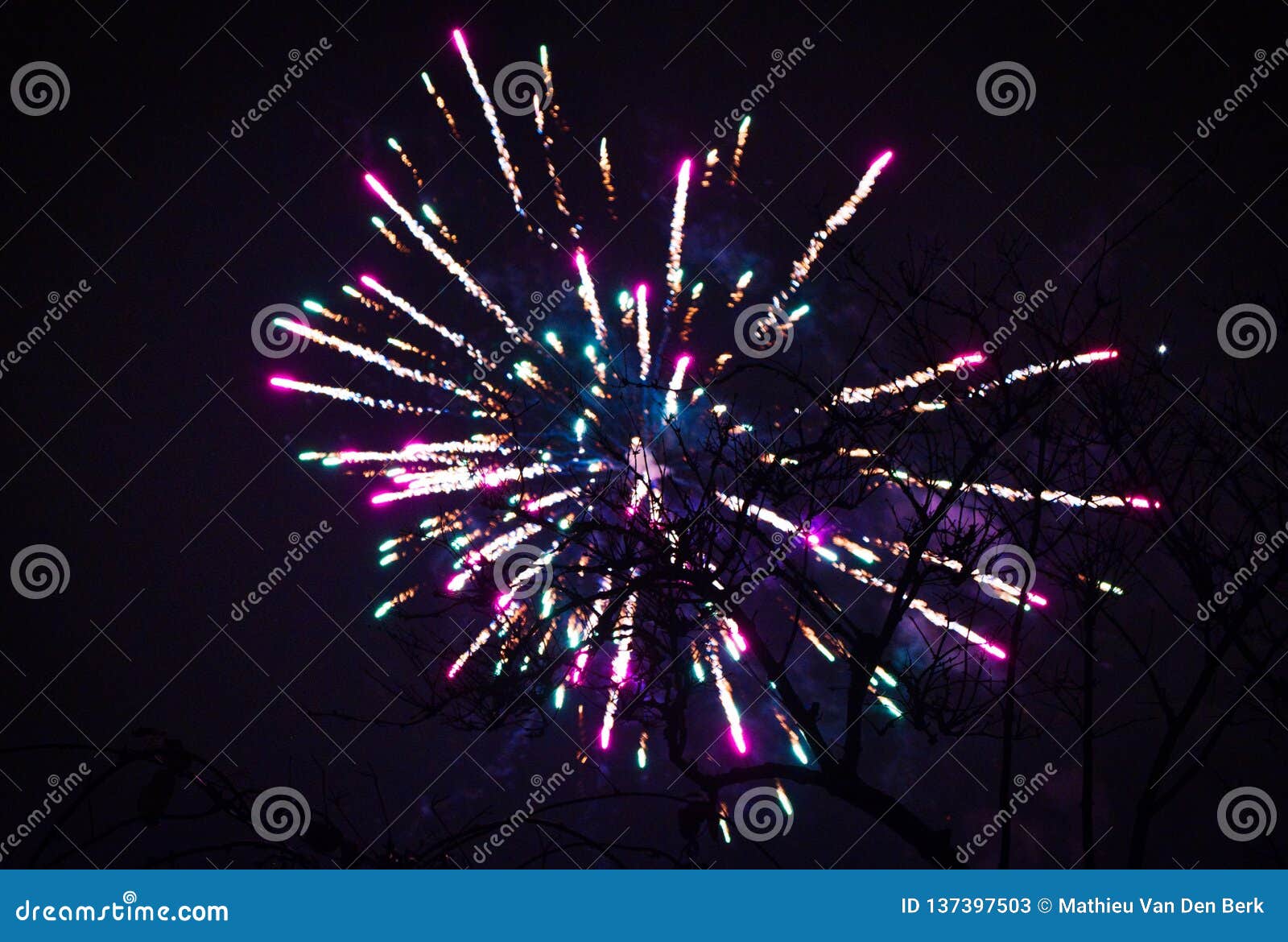 Fireworks Behind a Tree at New Years Eve Stock Image - Image of burst ...