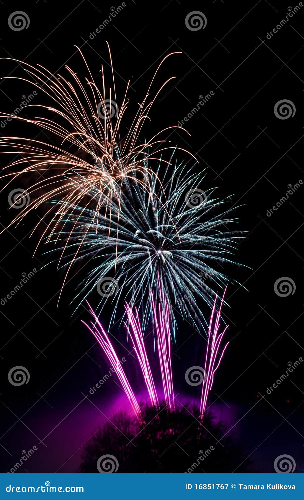 Fireworks Blasts on Black Sky Stock Image - Image of november, fire ...
