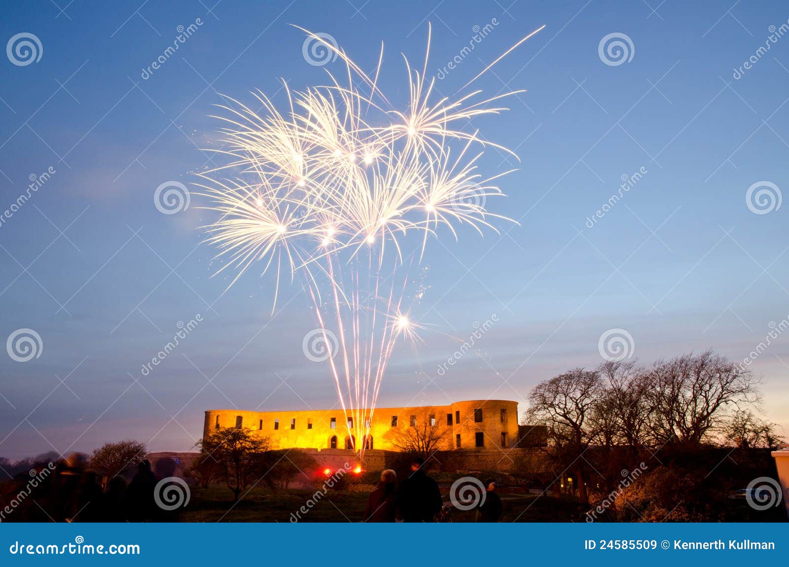 Fireworks Celebrating Springtime Stock Image - Image of trees, tourism ...