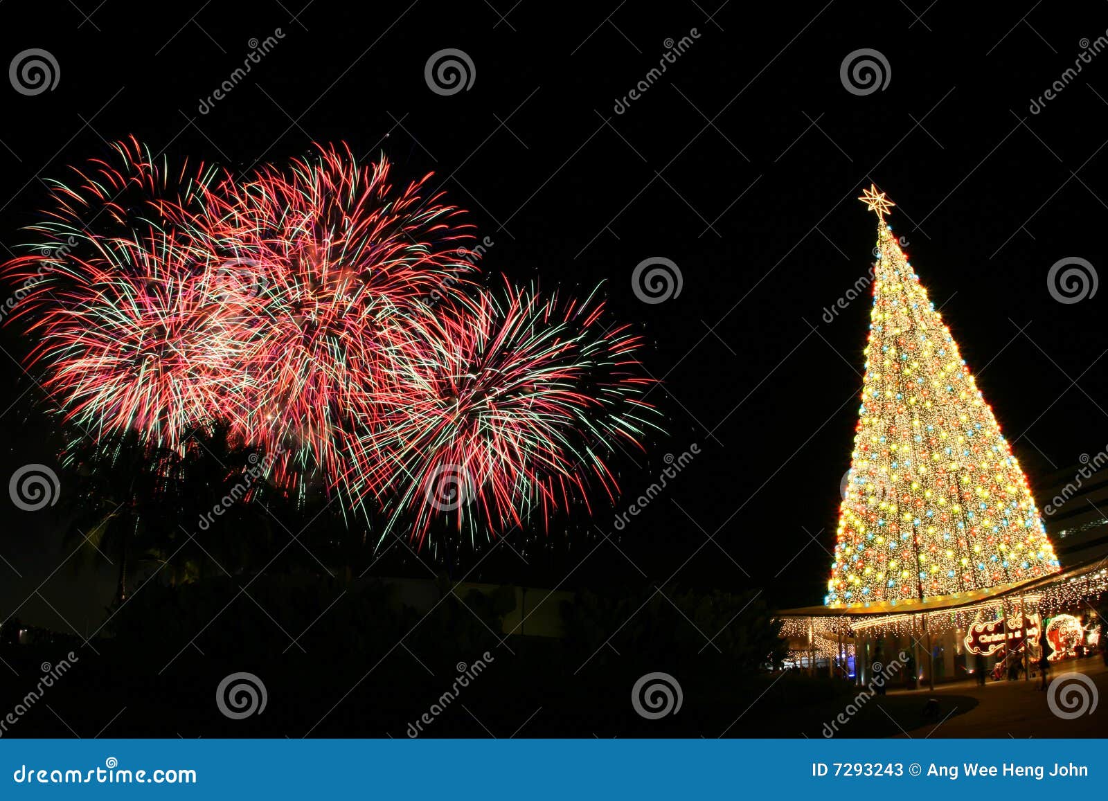 Fireworks and Christmas Tree Stock Image - Image of trails, spectacular ...