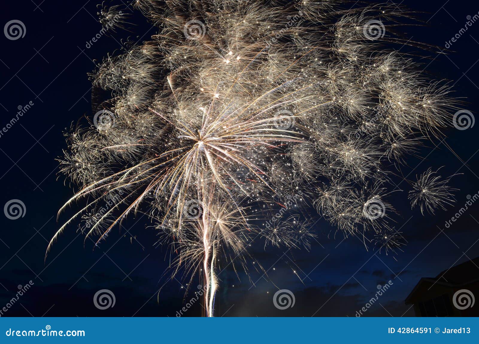 Fireworks Dandelion stock image. Image of family, explosion - 42864591