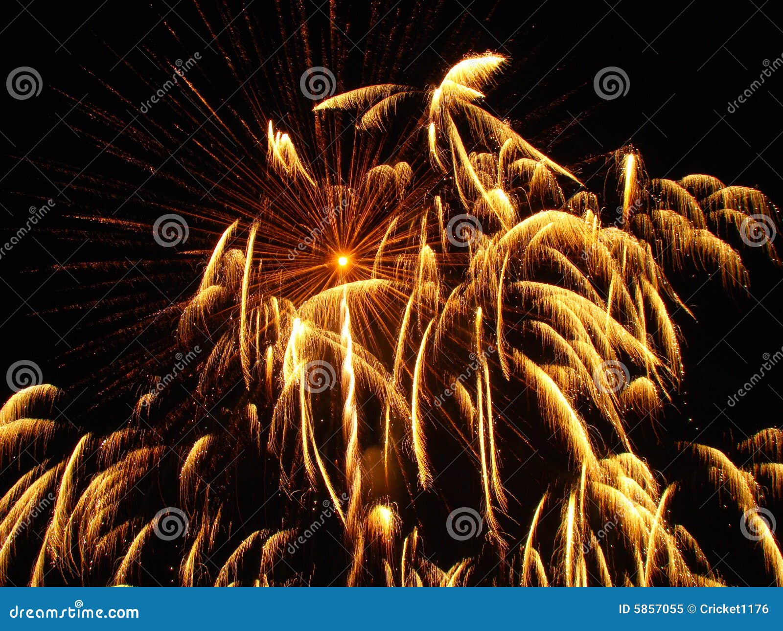 Fireworks Display stock image. Image of falling, gold - 5857055