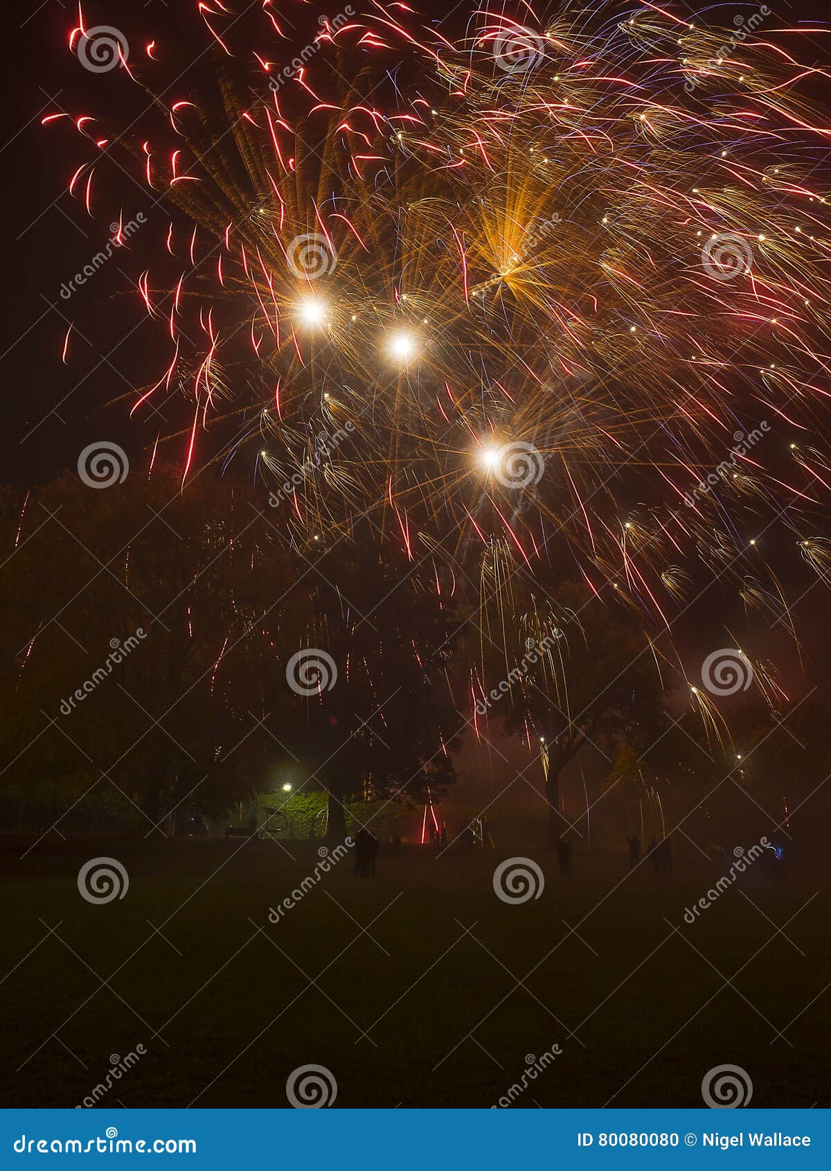 Fireworks Display Exploding Over People and Families Watching Stock ...