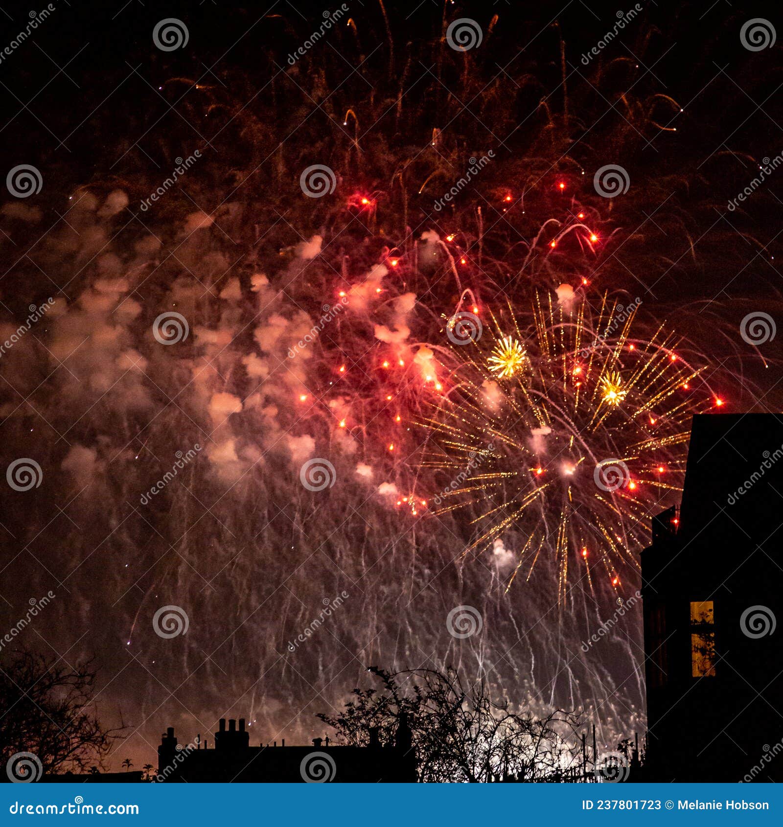Fireworks Exploding Against a Night Sky Stock Image - Image of ...