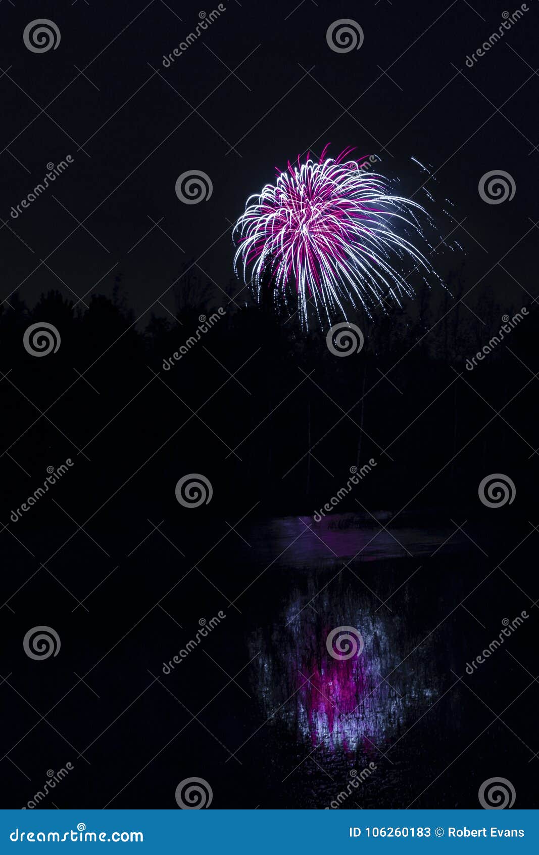 Fireworks Exploding Over Woodland Pond. Stock Image - Image of kiveton ...