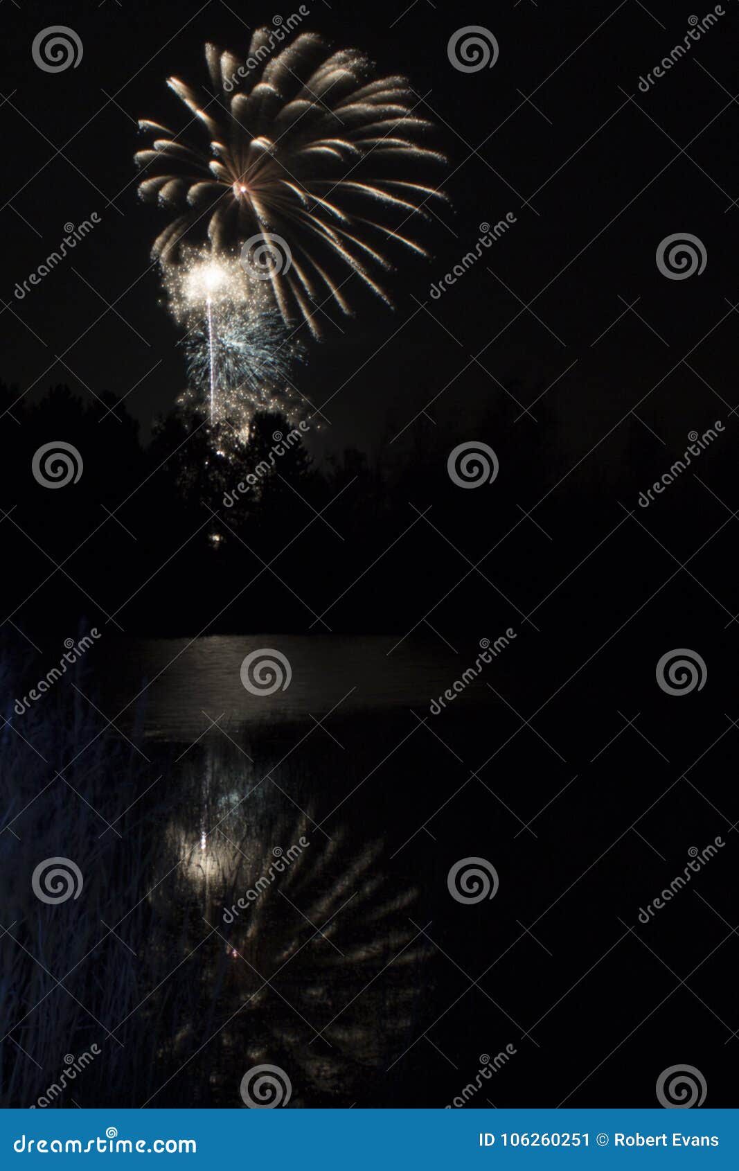 Fireworks Exploding Over Woodland Pond. Stock Image - Image of sparkler ...