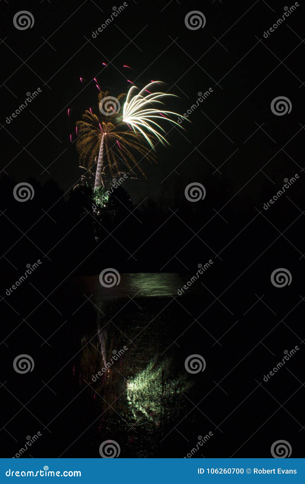 Fireworks Exploding Over Woodland Pond. Stock Photo - Image of water ...